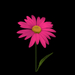 Second Life Marketplace - /Sma/Nor/Dai/+Eternal Plant